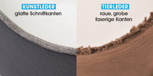 Leder Oder Kunstleder Test