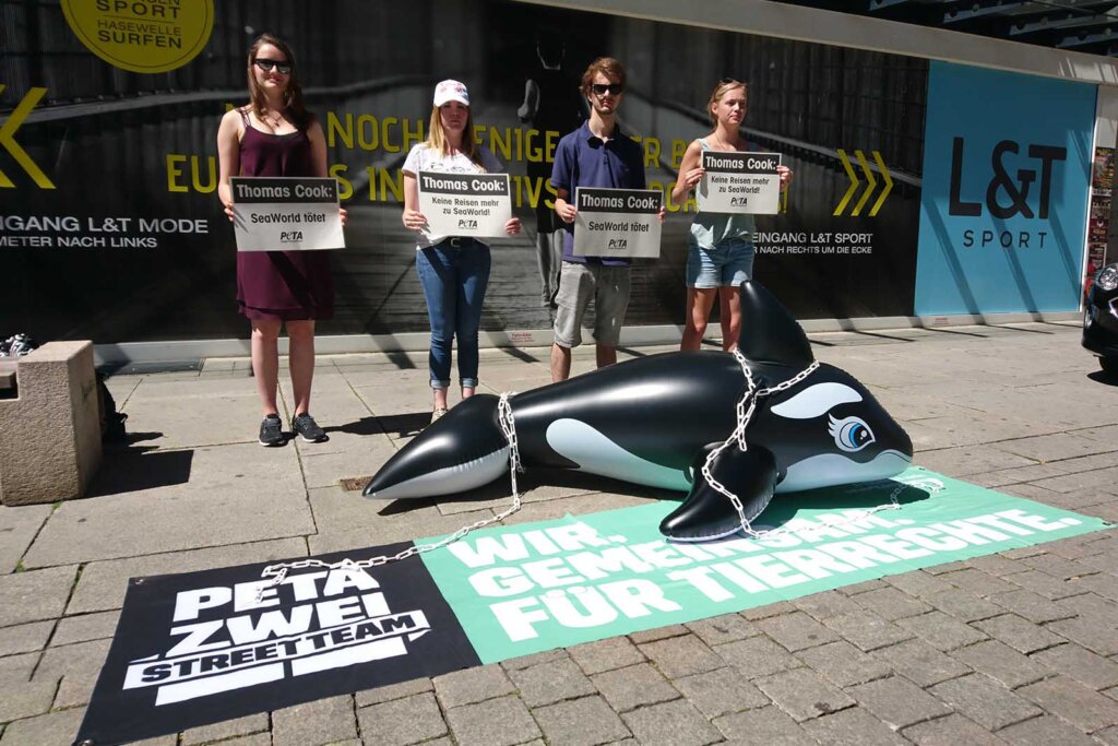 Erfolg! Reiseunternehmen Thomas Cook kappt nach einjähriger PETA ...