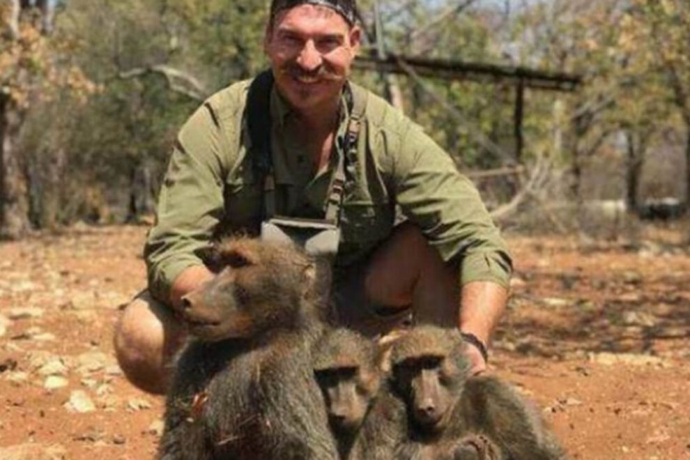 Amerikanischer Politiker tötet Pavianfamilie auf Trophäenjagd