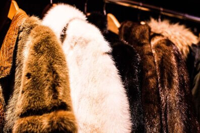 Was tun mit alten Pelzen? Verkaufen oder spenden? | PETA