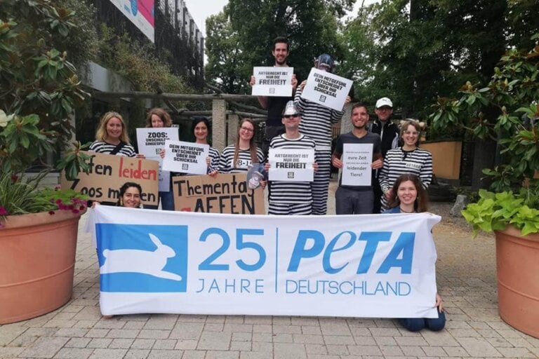 Diese 6 Aktionen ließ PETA zum 25-jährigen Jubiläum wieder aufleben