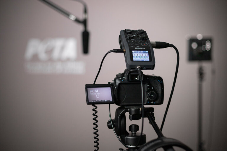 Kontaktieren Sie Uns | PETA