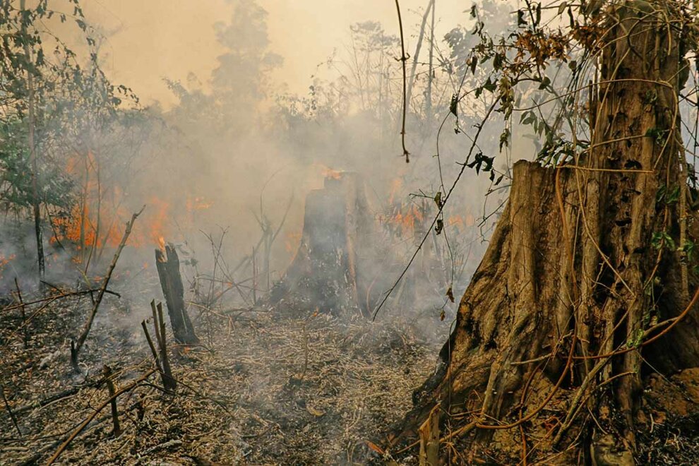 Was sind Kipppunkte beim Klima und warum sind sie gefährlich?