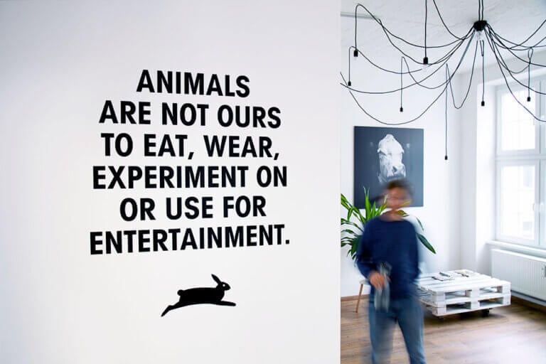 Kontaktieren Sie Uns | PETA