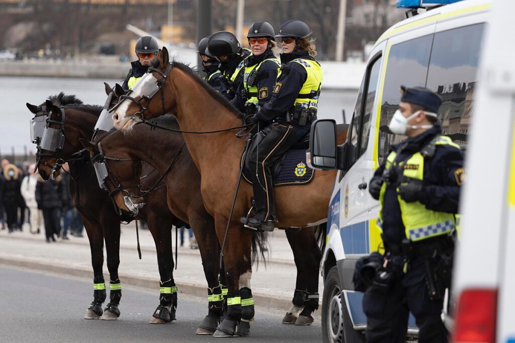 Polizeipferde: So leiden die Tiere bei der berittenen Polizei