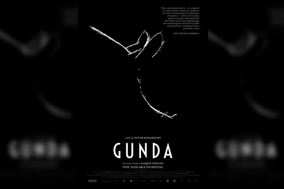 GUNDA: Tierdokumentation von Joaquin Phoenix jetzt auf DVD