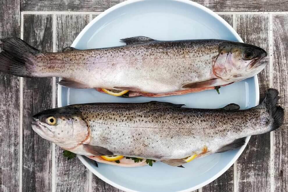 Pescetarisch: Alle Informationen über diese Ernährungsform