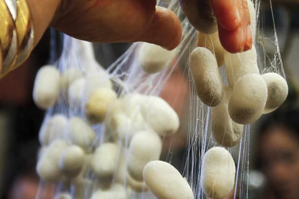 Leder oder Kunstleder? So erkennen Sie den Unterschied - PETA ...