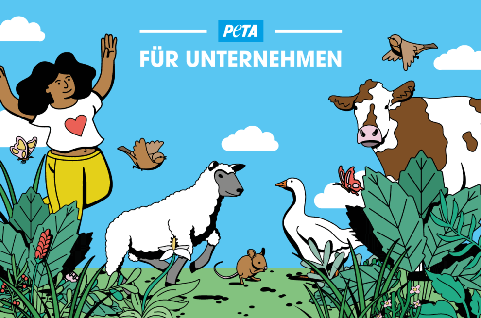 B2B Archives - PETA Deutschland e.V.