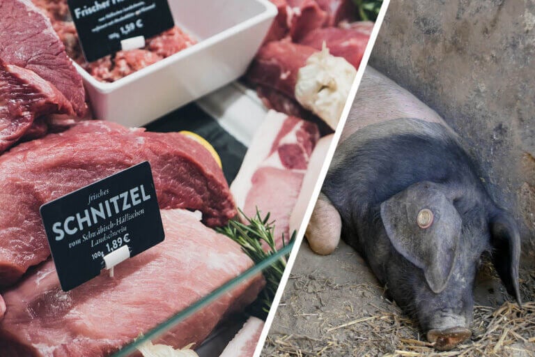 Flexitarische Ernährung: Die wichtigsten Fakten