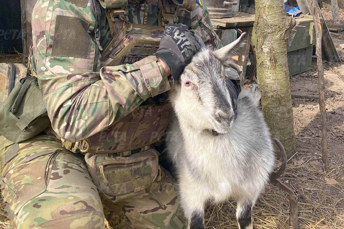PETA HELPS UKRAINE
