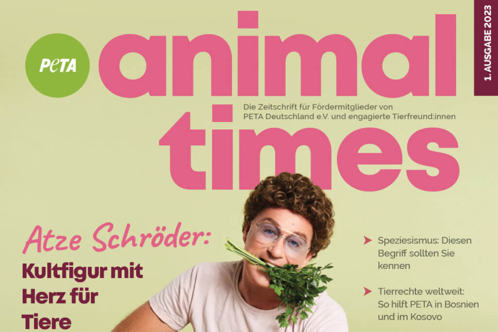 Erfolge: PETA Deutschland und seine Partnerorganisationen