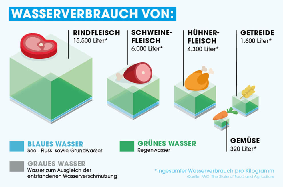 Wasserverbrauch für Fleisch: Wie hoch ist er wirklich?