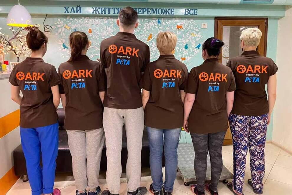 Ukraine-Interview: Wie fühlt sich das Leben mitten im Krieg an?