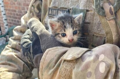 Deutschlands größte Tierrechtsorganisation | PETA