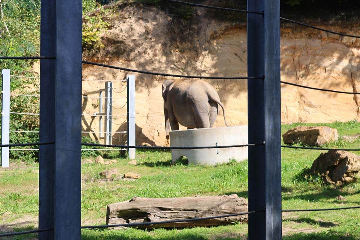 Video: Tierleid im Zoo Neunkirchen aufgedeckt