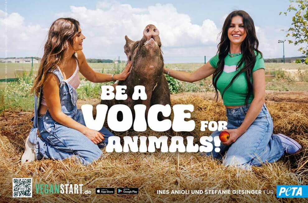 Deutschlands größte Tierrechtsorganisation | PETA