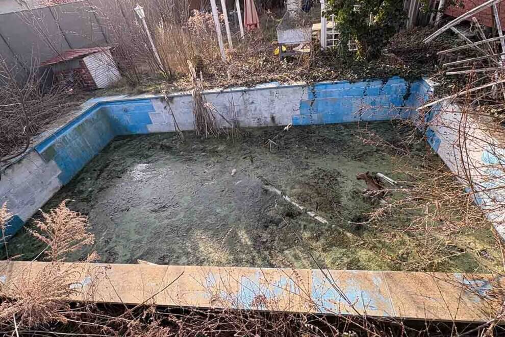 Taubennest auf dem Balkon: Was tun? | PETA