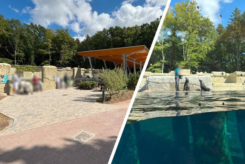 Tierleid im Zoo Rostock: Betongefängnis statt Artenschutz