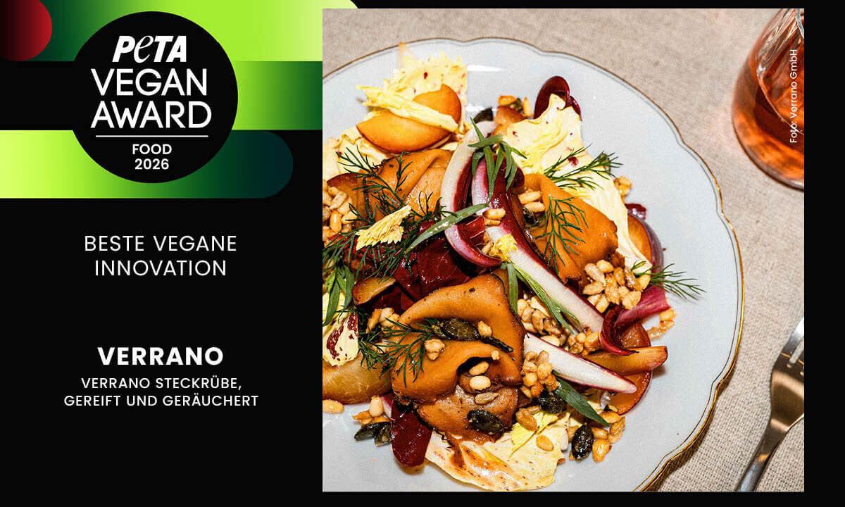 PETAs Vegan Award 2026: Alle Gewinner im Bereich Food - PETA ...